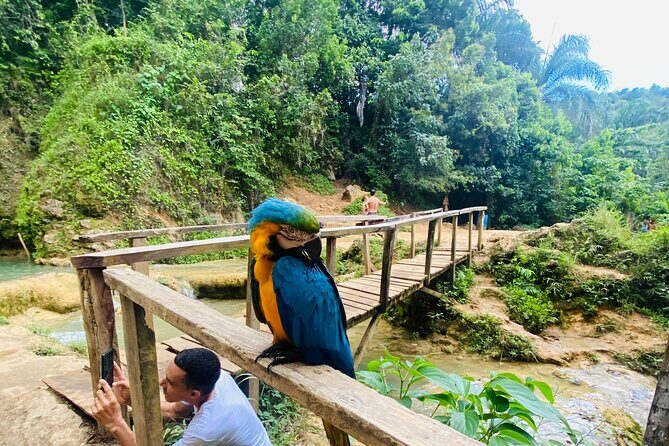 Samaná, Cayo Lemon Waterfall from Punta Cana - Cayo Levantado: Beach Relaxation and Caribbean Bliss