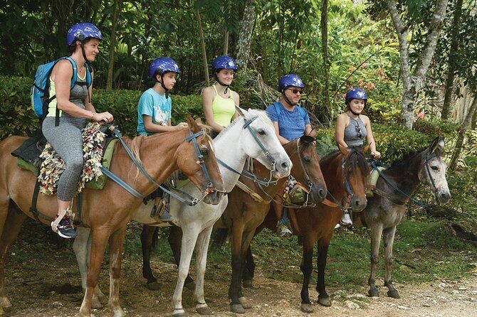 Samaná, Cayo Lemon Waterfall from Punta Cana - Why This Tour Provides Real Value
