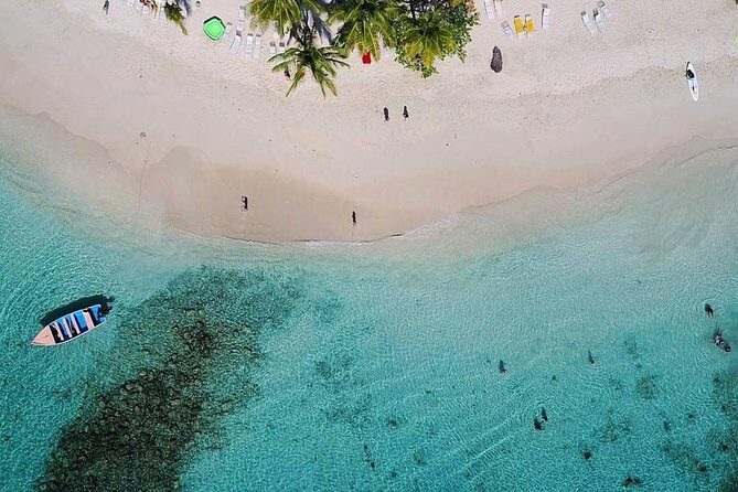 Samana: Cayo levantado ( Bacardi Island) & El Limon Waterfalls from Punta Cana - Analyzing the Value