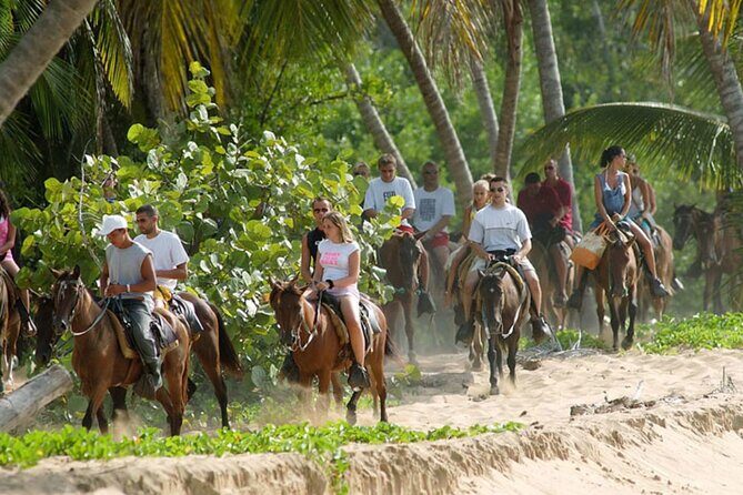 Samana + Cayo Levantado + Horseback Riding from Punta Cana with Lunch - Who Will Appreciate This Tour?