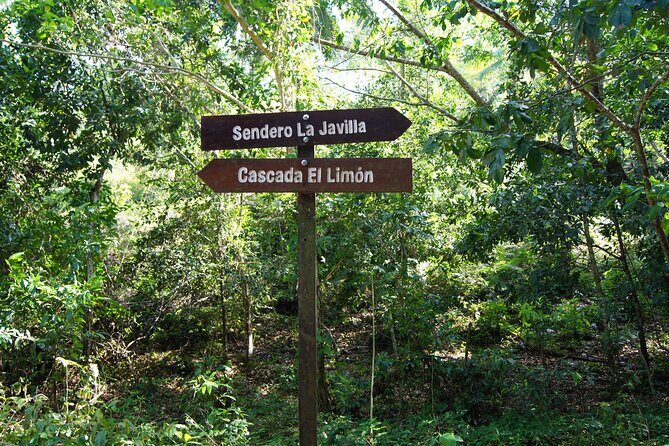 Samana City & El Limon Waterfall Small Group Full Day Shared Tour - A Detailed Look at What You Can Expect