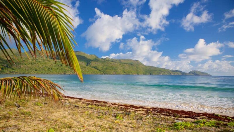 Samana Day Tour: Cayo Levantado & Rincon Bay Paradise - The Itinerary: A Closer Look