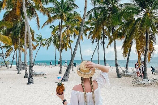 Samana Day Trip from Puntacana and El limon Waterfall - Key Points