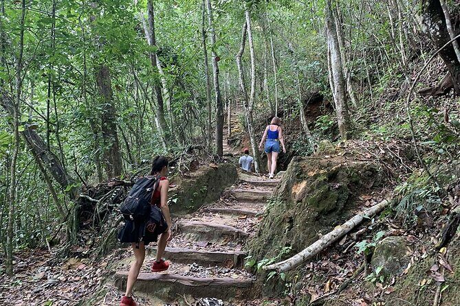 Samaná El Limón Waterfall and Isla Cayo Levantado from Punta Cana - Who Is This Tour Best For?