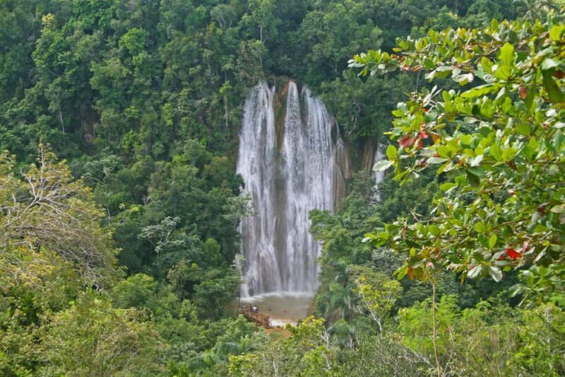 Samaná: El Limón Waterfall Horseback Riding Tour - An Authentic Adventure in Samaná’s Natural Heartland