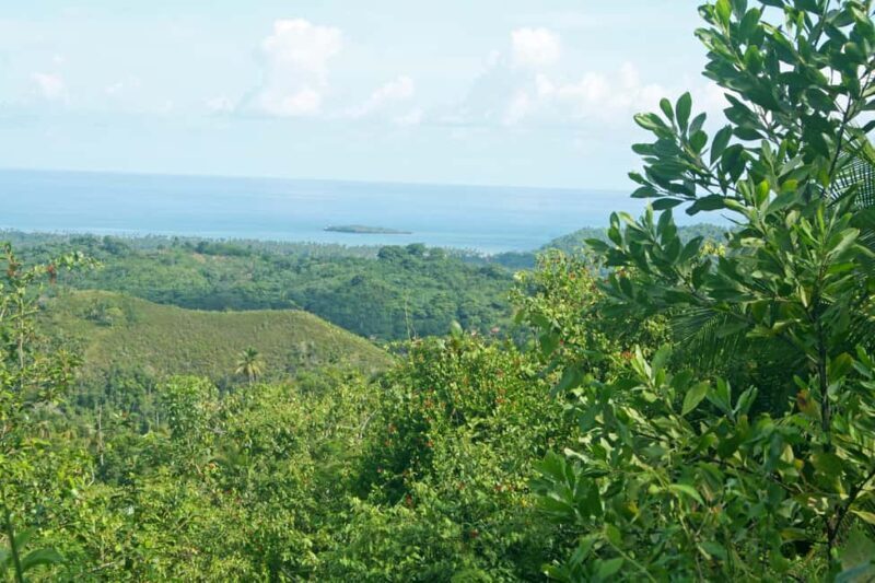 Samaná: El Limón Waterfall Horseback Riding Tour - The Waterfall: A Natural Marvel