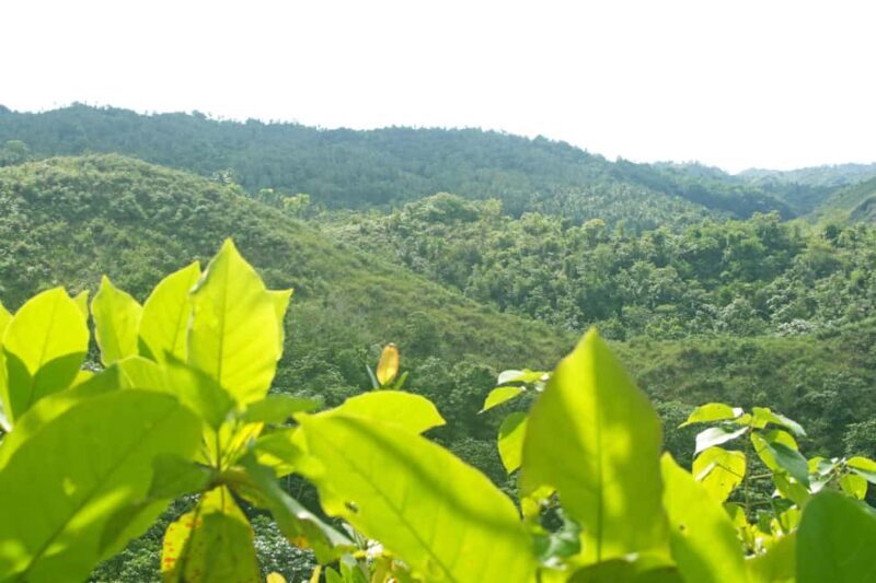 Samaná: El Limón Waterfall Horseback Riding Tour - What Travelers Are Saying