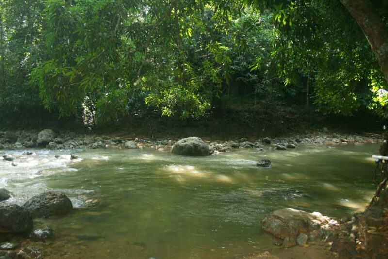 Samaná: El Limón Waterfall Horseback Riding Tour - The Sum Up