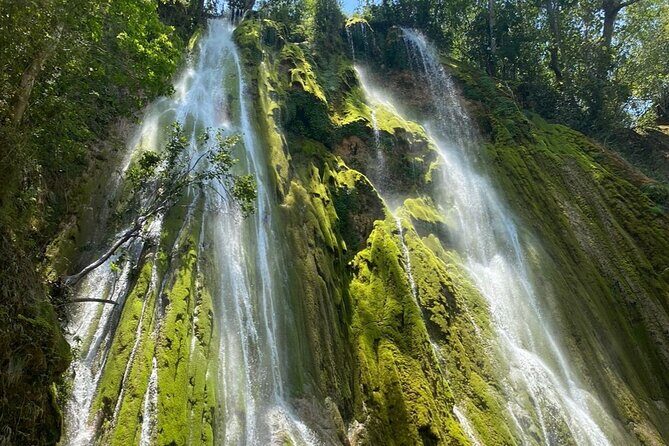 Samana from Punta Cana - Full Day - A Closer Look at the Full-Day Samana Tour