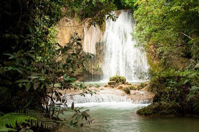 Samana Full Day From Punta Cana - FAQs