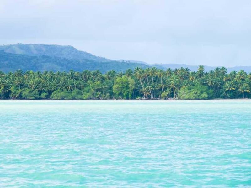 Samaná: Horseback Riding to El Limón Waterfall with Lunch - Real Traveler Feedback