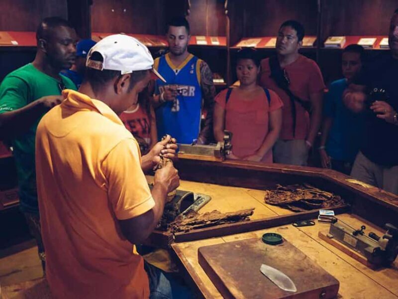 Samaná: Horseback Riding to El Limón Waterfall with Lunch - The Sum Up