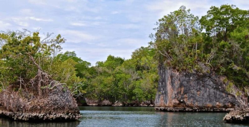 Samana: Los Haitises, Caño Hondo, Kayak Tour with Lunch - Caño Hondo Pools: Nature’s Spa