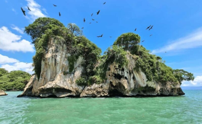 Samana: Los Haitises, Caño Hondo, Kayak Tour with Lunch - The Experience: What We’ve Learned from Reviews