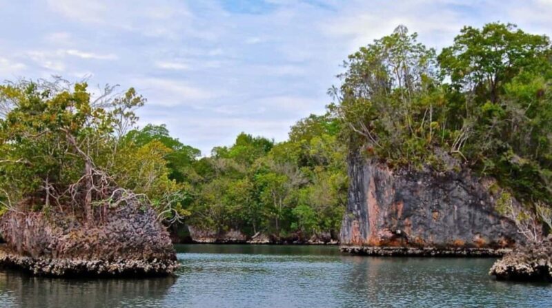 Samana: Los Haitises National Park & Caño Hondo Day Tour - Authentic Experiences and Real Insights from Travelers