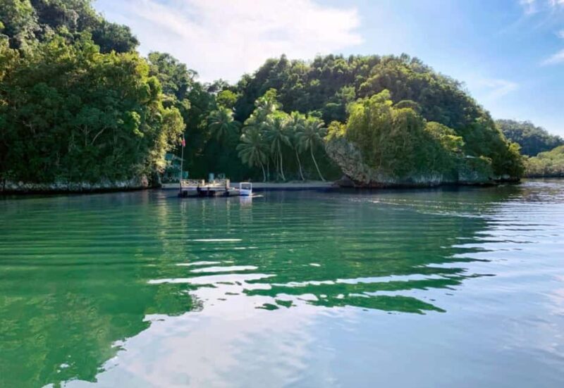 Samana: Los Haitises National Park & Caño Hondo Day Tour - Final Thoughts: Is This Tour Right for You?