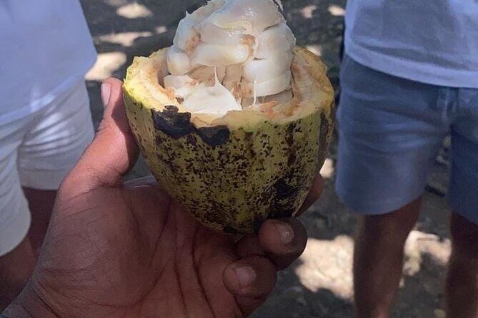 Samana Los Haitises Water fall Cayo Leventado - The Waterfalls and Natural Pools: A Refreshing Interlude