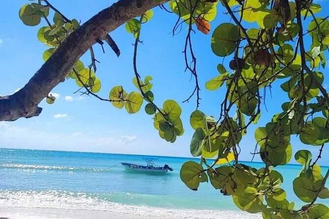 Samana Los Haitises Water fall Cayo Leventado - Cayo Leventado and the Beach Relaxation