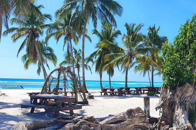 Samana Los Haitises Water fall Cayo Leventado - The Lunch and Cultural Flavor
