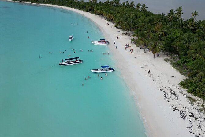 Samana Los Haitises Water fall Cayo Leventado - Additional Insights and Traveler Feedback