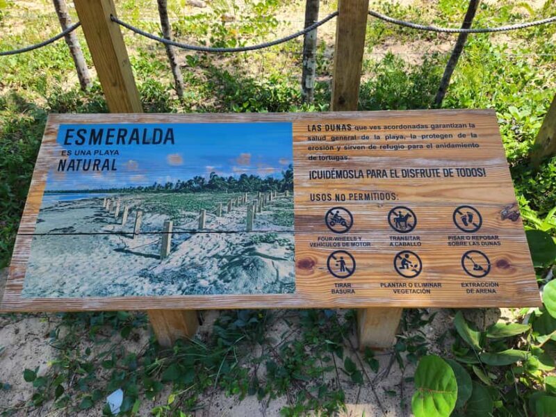 Samana: Montaña Redonda, Lunch, and Esmeralda Beach Tour - Considerations