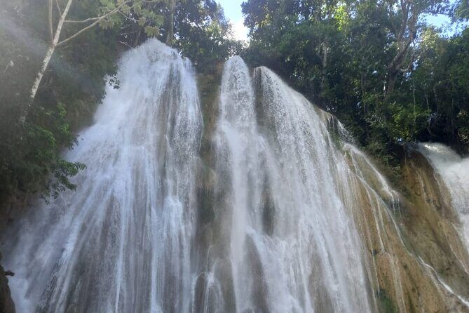 Samana Paradise Shared Tour - Introduction to the Tour Experience