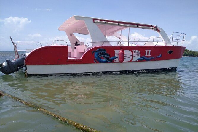 Samana Paradise Shared Tour - The Itinerary Breakdown: What to Expect