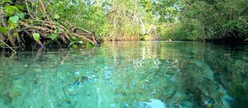 Samaná: Playa Rincón Safari Tour with Lunch & Drinks - Authenticity and Traveler Feedback