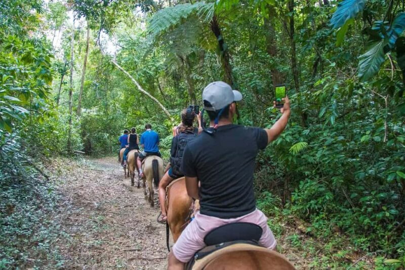 Samaná: Private Horseback Riding to El Limón Waterfall - The Itinerary in Detail