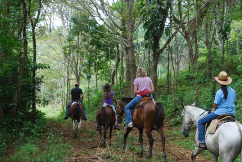 Samaná: Private Horseback Riding to El Limón Waterfall - Practical Details and Value