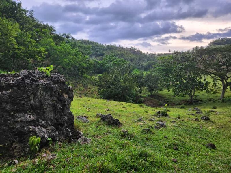 Samana: Private Los Haitises Expedition Caves & Mangroves - Uncovering the Jewel of Dominican Ecotourism