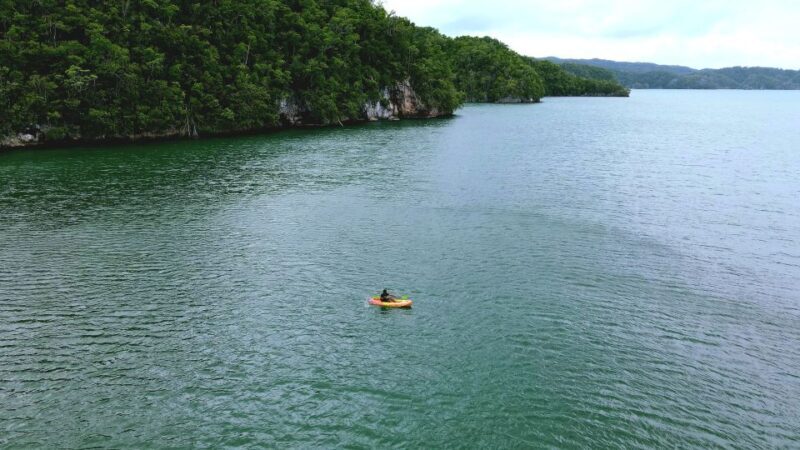 Samana: Private Los Haitises Expedition Caves & Mangroves - The Sum Up