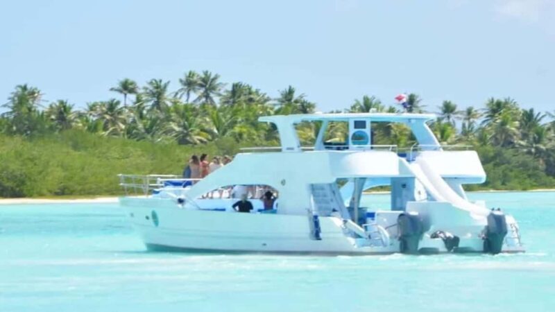 Samaná: Samaná Bay Whale Watching Tour with Drinks - Key Points