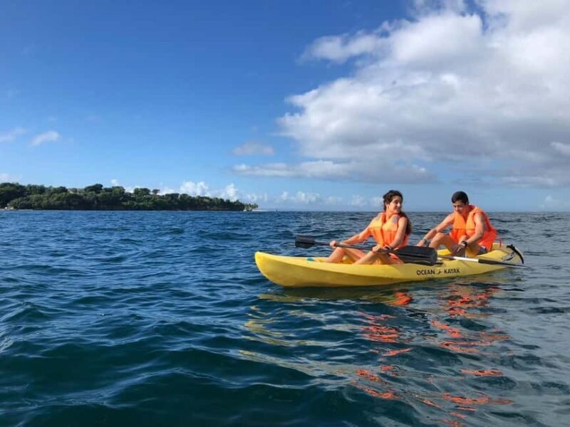 Samaná: Whale, Cayo Levantado, & Kayak in Samaná Bay Tour - FAQ