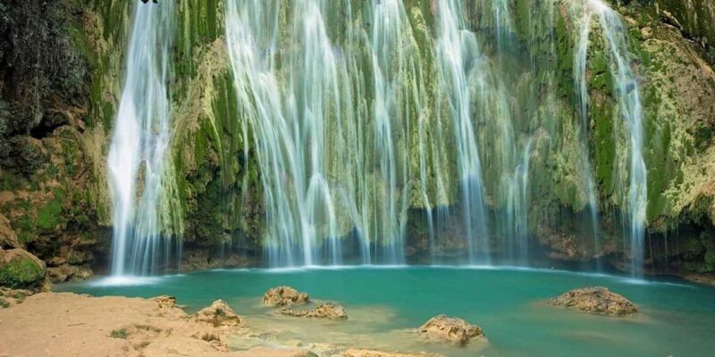 Samana Whale watching and Bacardi Island from Punta Cana - Key Points