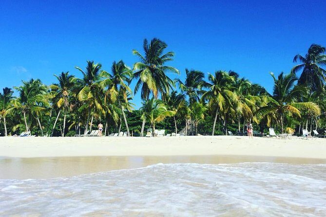 Samaná Whale Watching plus Cayo Levantado Bacardi Island - FAQ