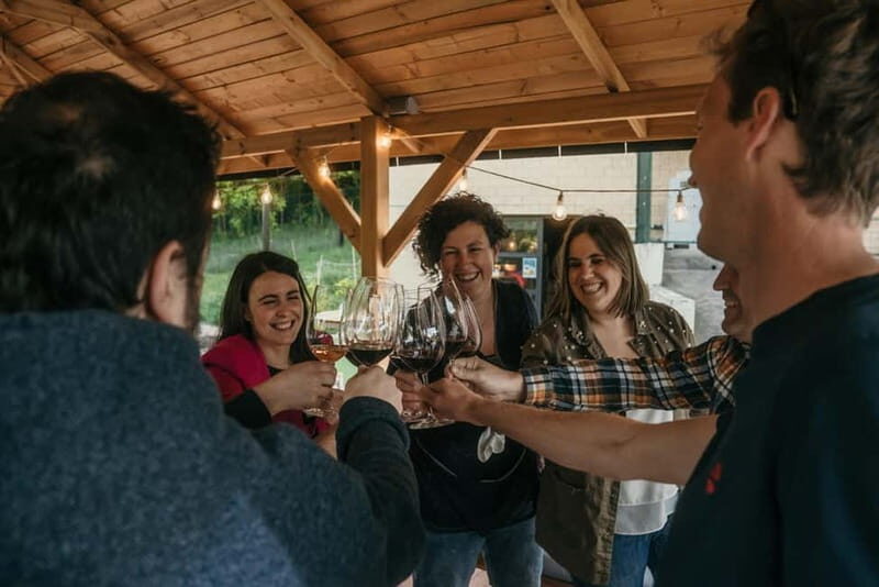 Samaniego: Visit the 3 Alútiz Wineries and taste their wines - An Introduction to Bodegas Alútiz and Its Unique Approach