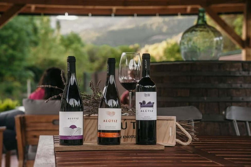 Samaniego: Visit the 3 Alútiz Wineries and taste their wines - The Tasting Experience: More Than Just Sipping