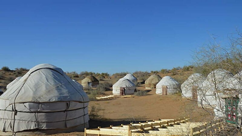 Samarkand: 2-Day Desert Yurt Camp & Camel Ride Tour - Final Thoughts: Who Will Love This Tour?