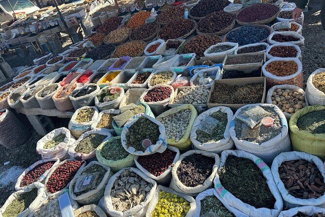 Samarkand Day Trip from Tashkent - The Journey Begins: From Tashkent to Samarkand