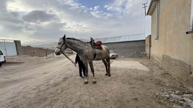 Samarkand: Horseback Riding Tour with Pickup and Drop-off - Key Points