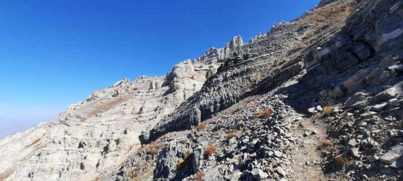 Samarkand: Horseback Riding Tour with Pickup and Drop-off - An In-Depth Look at the Horseback Riding Tour in Samarkand