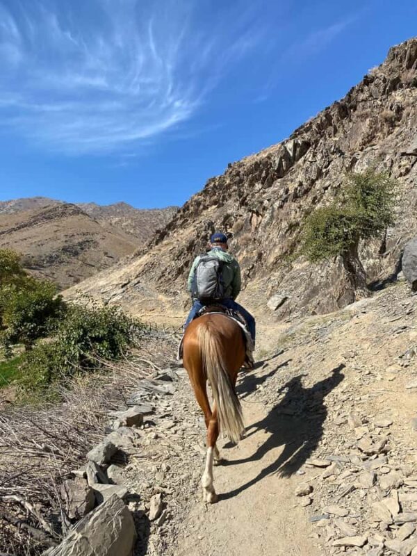 Samarkand: Nurota 2-day Horseback Riding & Village Tour - Practical Details That Matter