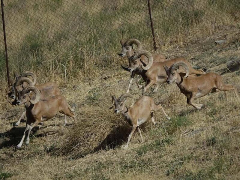 Samarkand: Nurota 2-day Horseback Riding & Village Tour - Final Thoughts