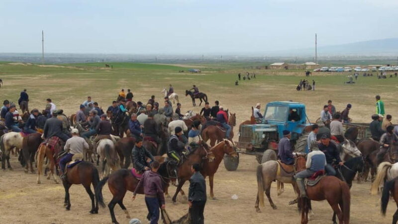 Samarkand: Uloq-Kopkari (Buzkashi) Game Day Tour - Key Points