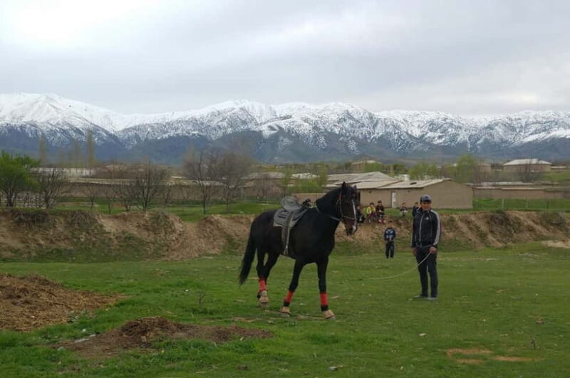 Samarkand: Uloq-Kopkari (Buzkashi) Game Day Tour - A Deep Dive into the Uloq-Kopkari (Buzkashi) Game Experience