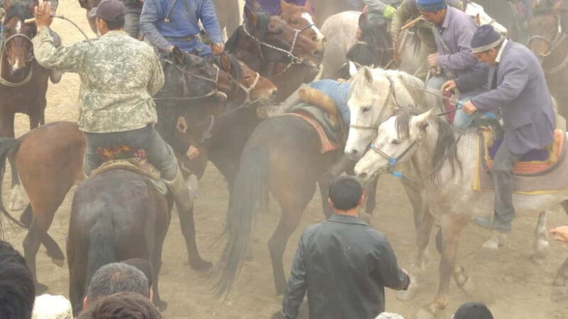 Samarkand: Uloq-Kopkari (Buzkashi) Game Day Tour - The Sum Up
