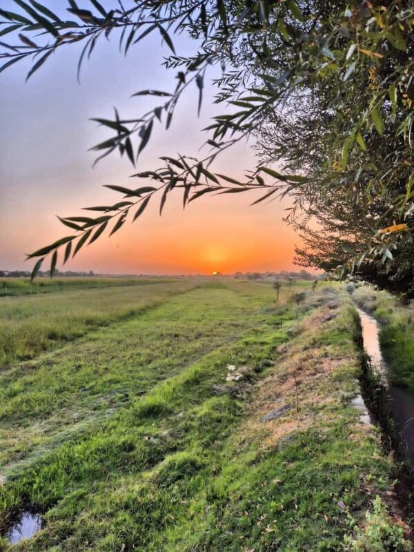 Samarkand: Village Tour with Homemade Dinner & Milking a Cow - Key Points