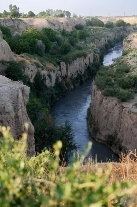 Samarkand: Village Tour with Homemade Dinner & Milking a Cow - Authenticity, Atmosphere, and Overall Experience