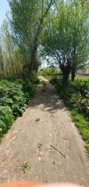 Samarkand: Village Tour with Plov Cooking Class & Home Visit - Key Points